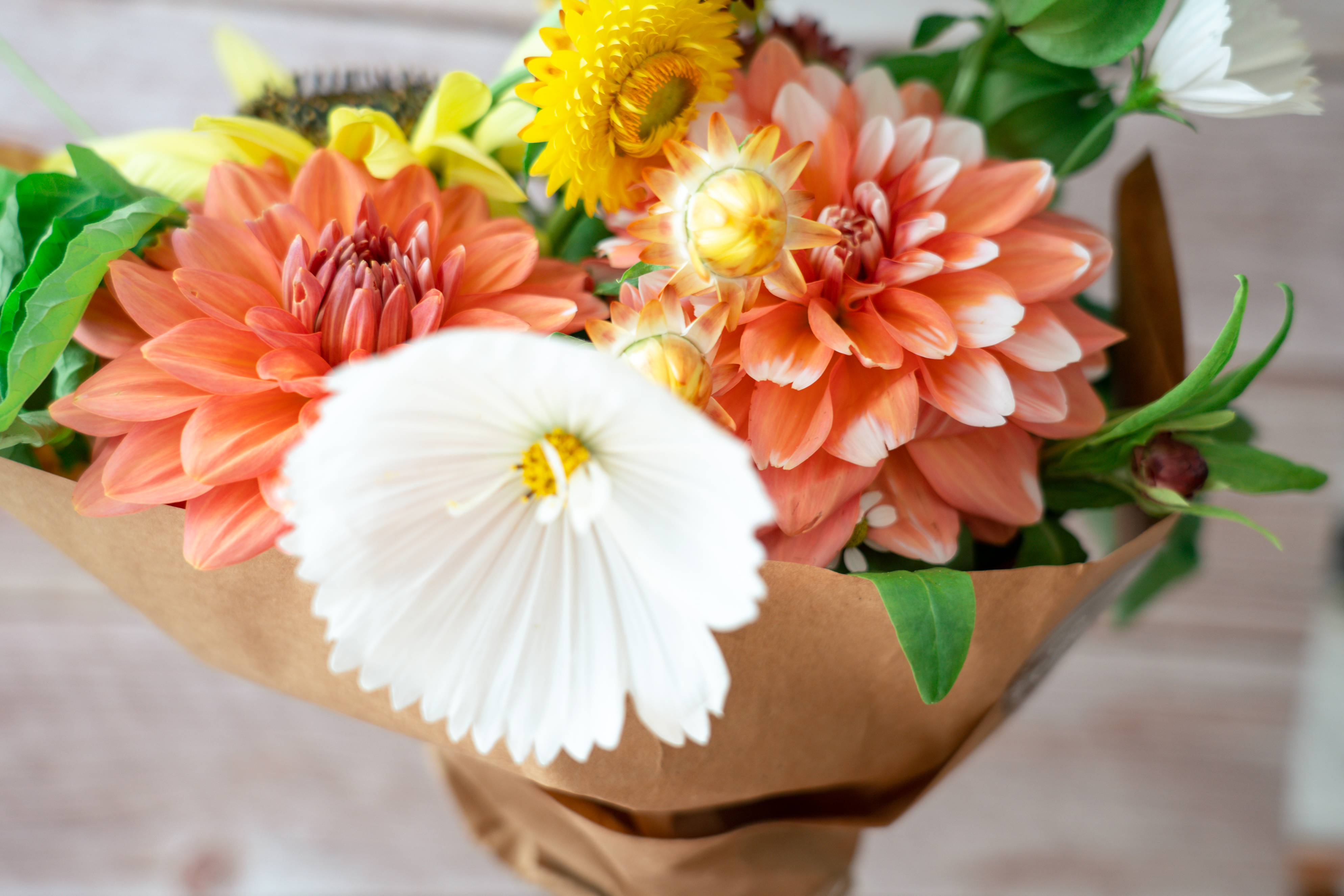 Sunset Snips Flower Farm